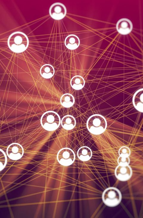 Social Networks | B.E.B.R. - Bureau of Economic and Business Research